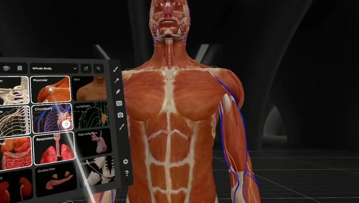 BodyMap – 智域國際股份有限公司